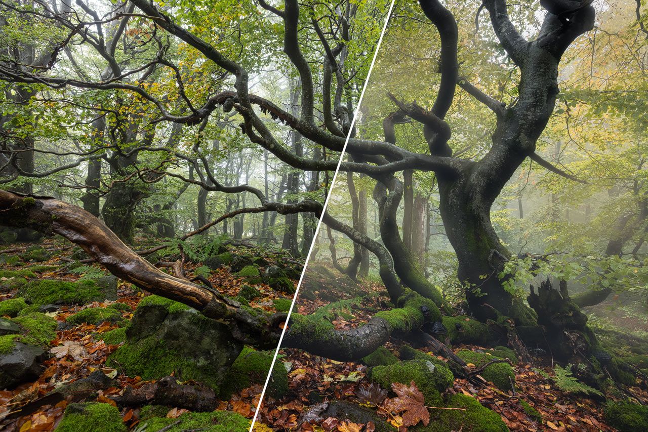 Best Plugins for Photoshop and Lightroom