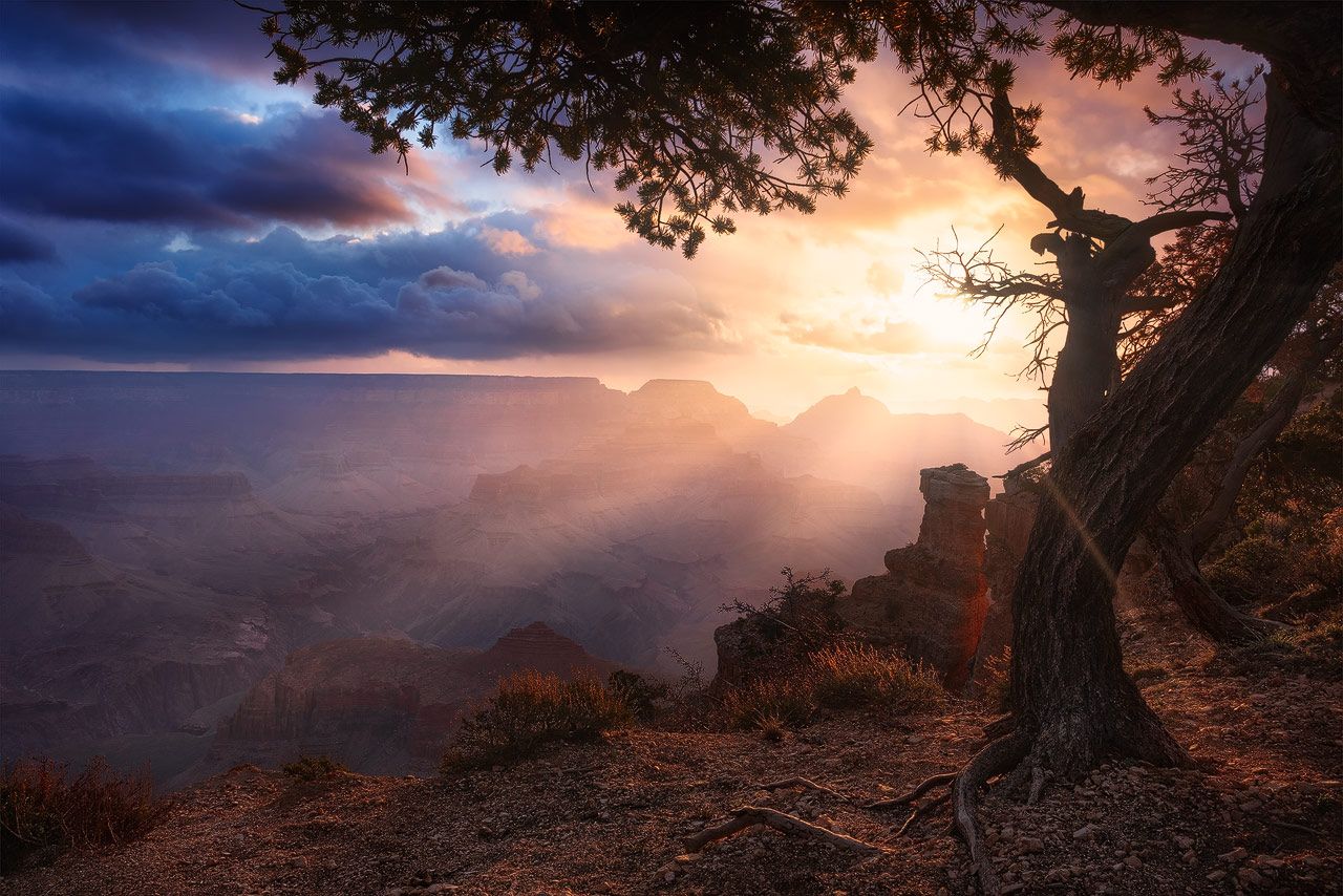 How to become a full-time Landscape Photographer?