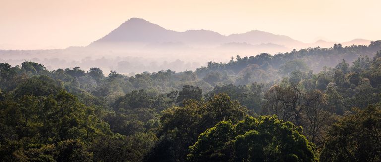 Sri Lanka Photography Guide